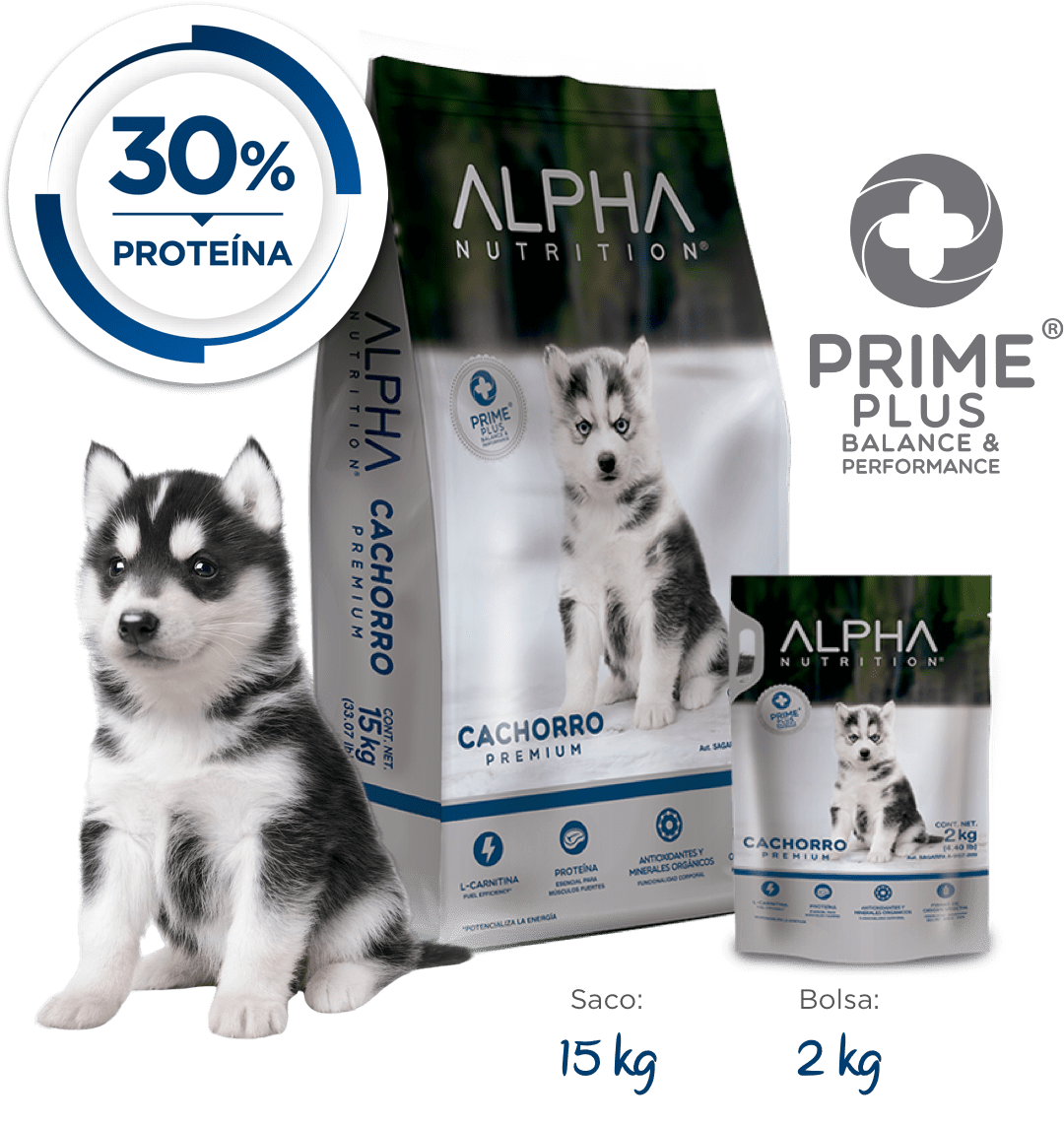 ALPHA Nutrition | Alimento premium para perros